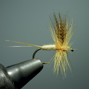 Fly Fishing School | Intermediate Fly Tying | Little River Outfitters