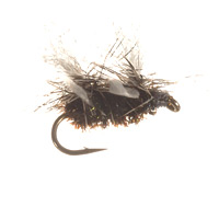 Featured Flies