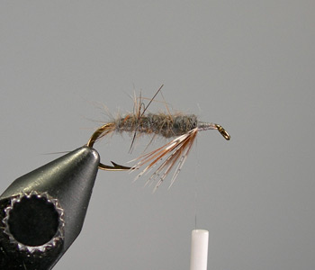 Tying the Muskrat Nymph by Steve Yates Little River Journal March 2010