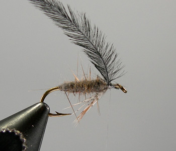 Tying the Muskrat Nymph by Steve Yates Little River Journal March 2010
