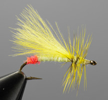 Little River Journal May 2010 Issue by Little River Outfitters