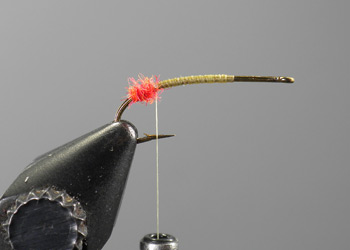 Little Yellow Sally by Steve Yates May 2010