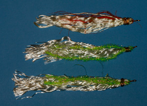 Gar Fishing Without Lefty by Gary McCown August 2009