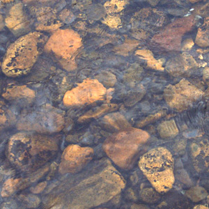 Didymo Warning by Byron Begley March 2009