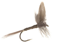 Early Spring Fly Patterns for Fishing in the Smokies by Byron Begley ...