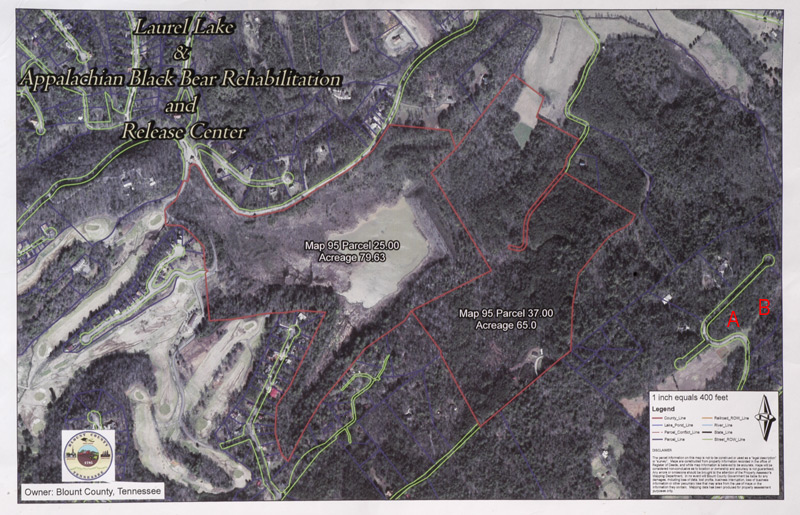 Re-Birth of Laurel Lake